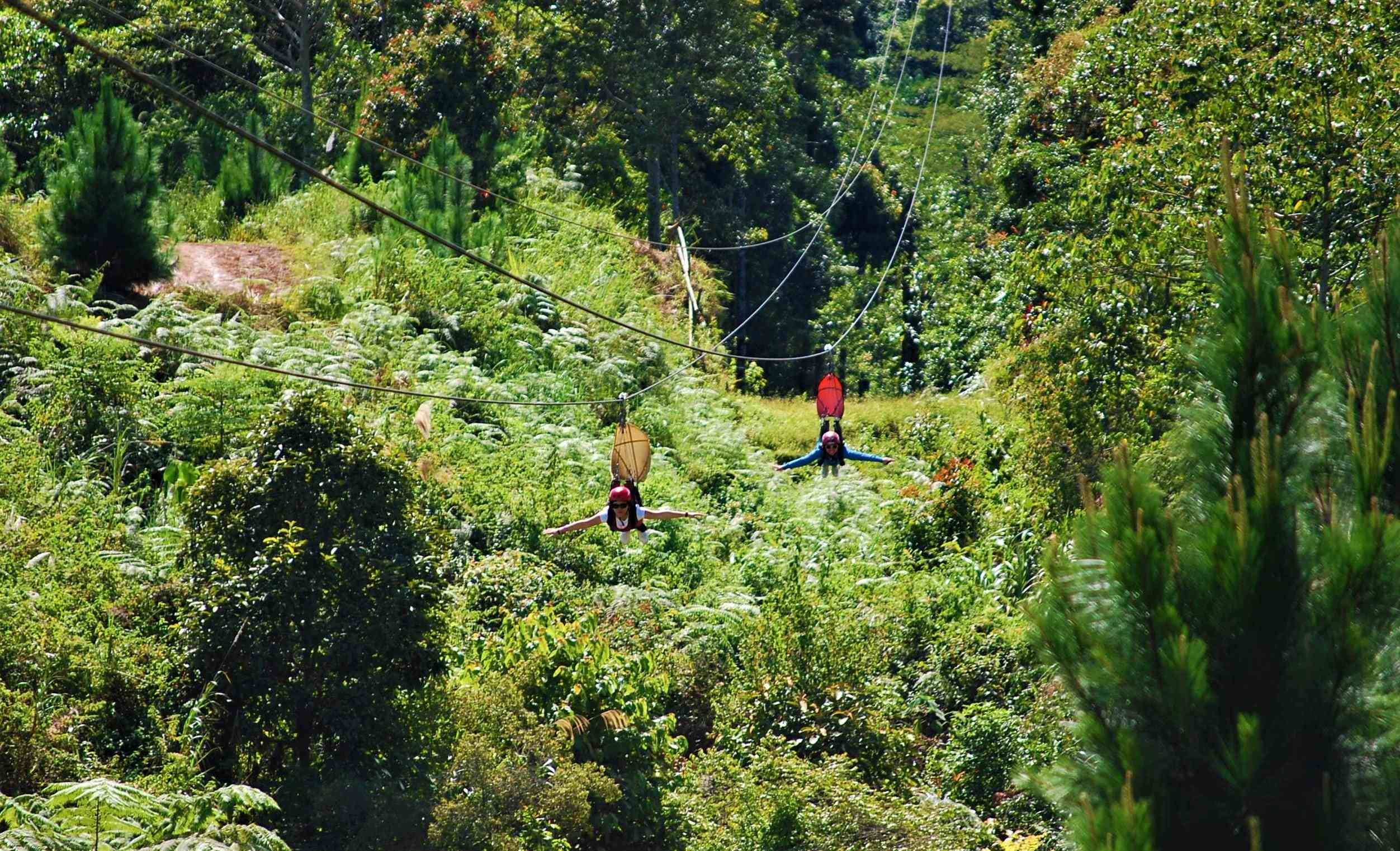 Zipline The Strong Traveller